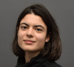 Let’s replace GDP: introducing the Green Domestic Product - I by IMD