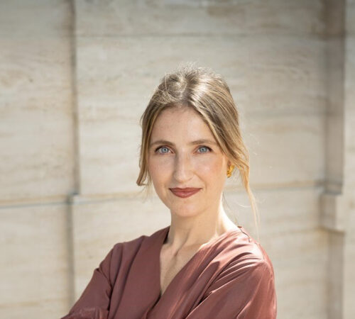 The changing role of the data scientist – from astronaut to race-car ...