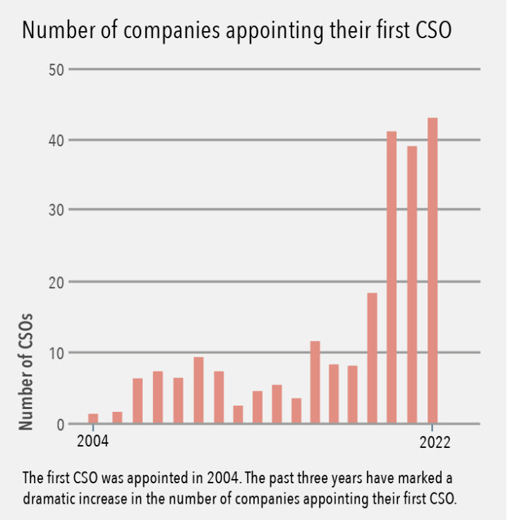 How to find a CSO with the range of skills your company needs - I by IMD