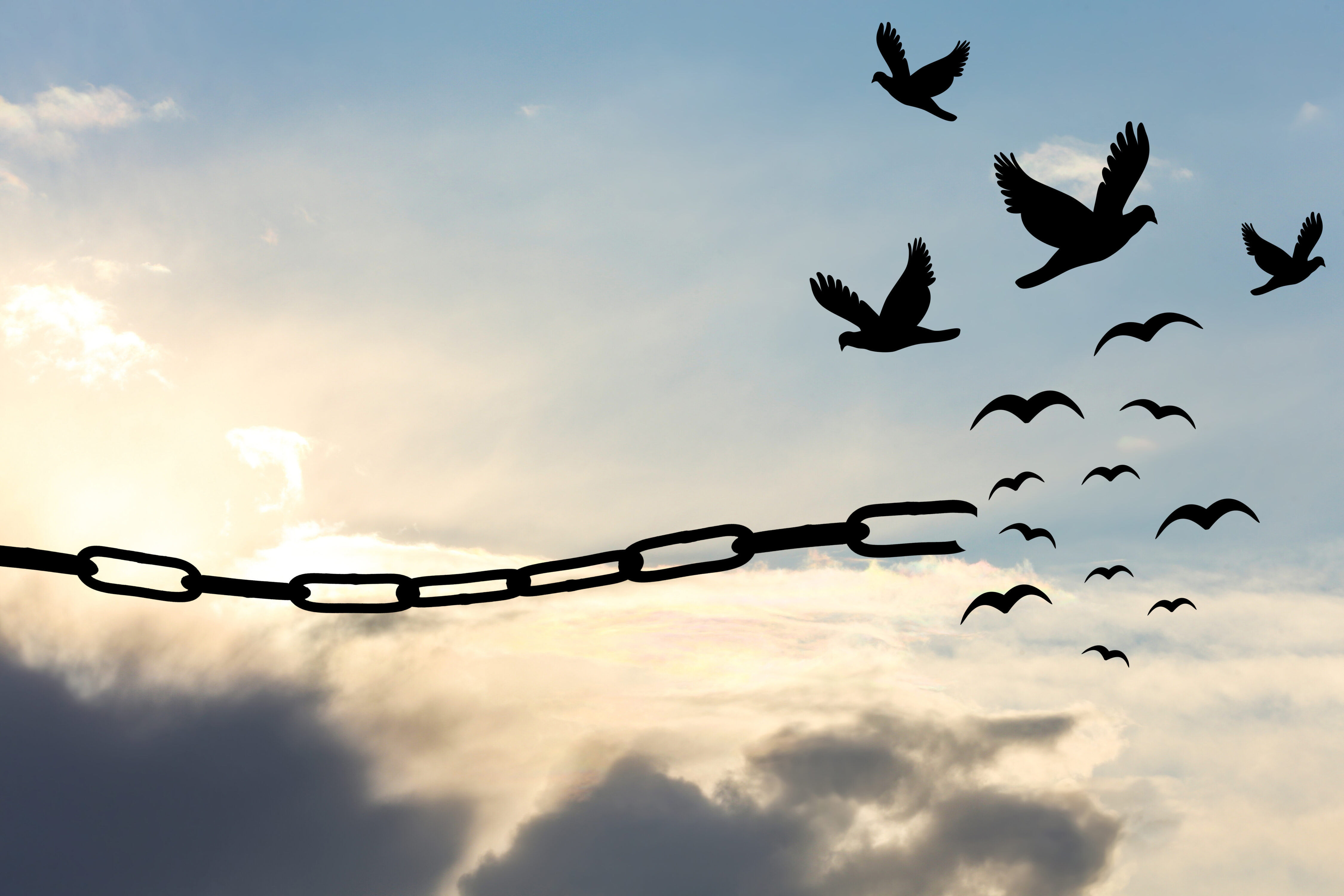 Breaking boundaries without ‘breaking bad’: Co-creation for extreme ...