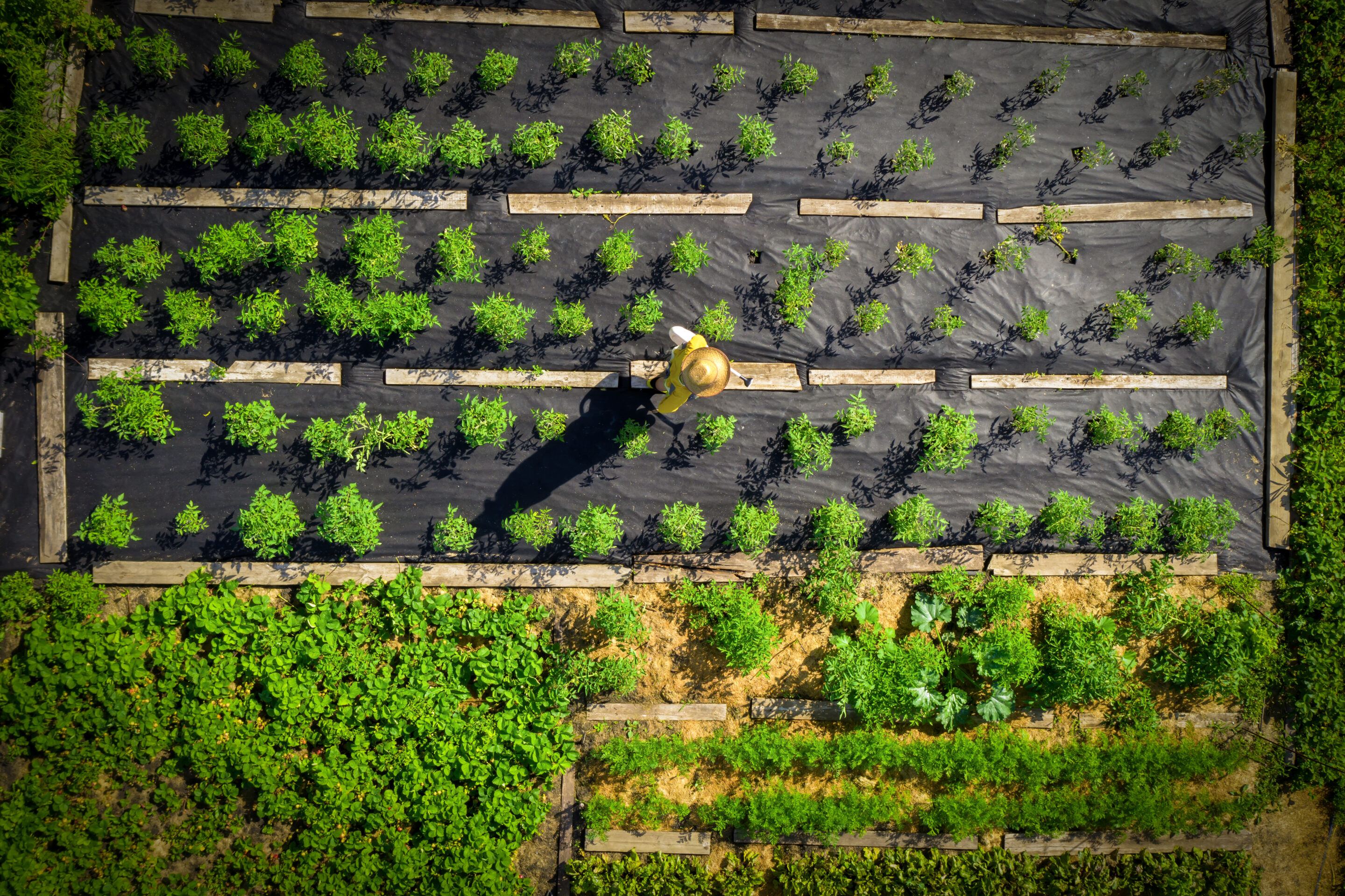 Why diversification could be a winning formula for VC funds - I by IMD