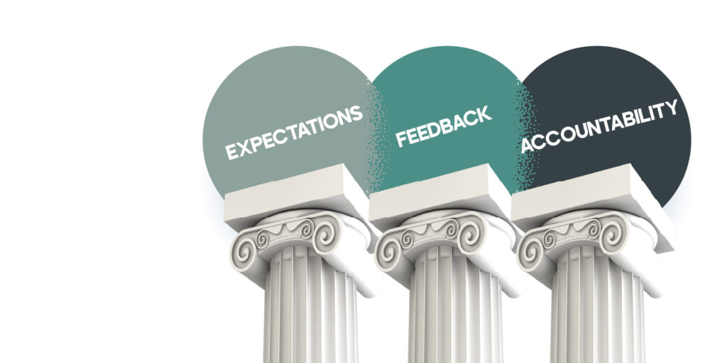 Effective performance management - Accountability - I by IMD