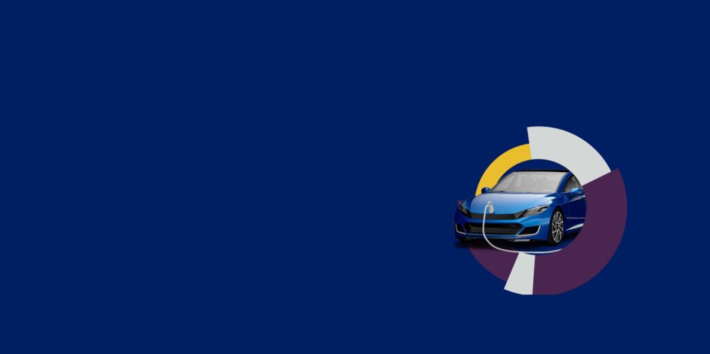 China’s NEV sector: Domestic brands lead the charge - I by IMD