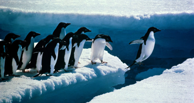 How to Become a Better Leader Through Resilient Leadership