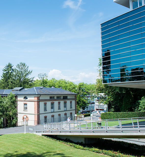 Home - OWP - IMD Business School