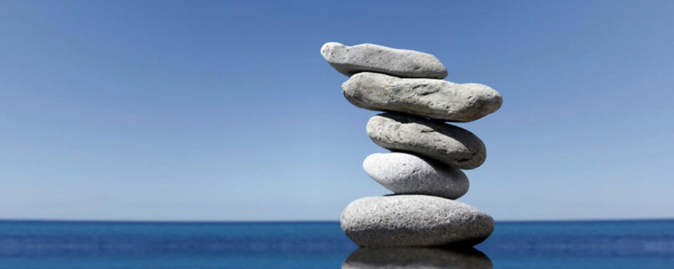 The value of the long-term view - IMD business school for management ...