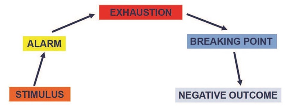 Resilient leadership: Easy steps to navigate the working life pressure
