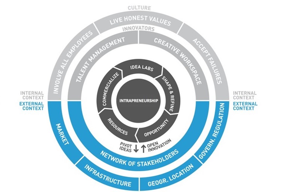 Building an intrapreneurial organization - IMD business school for ...