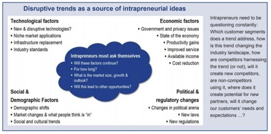 Building an intrapreneurial organization - IMD business school for ...