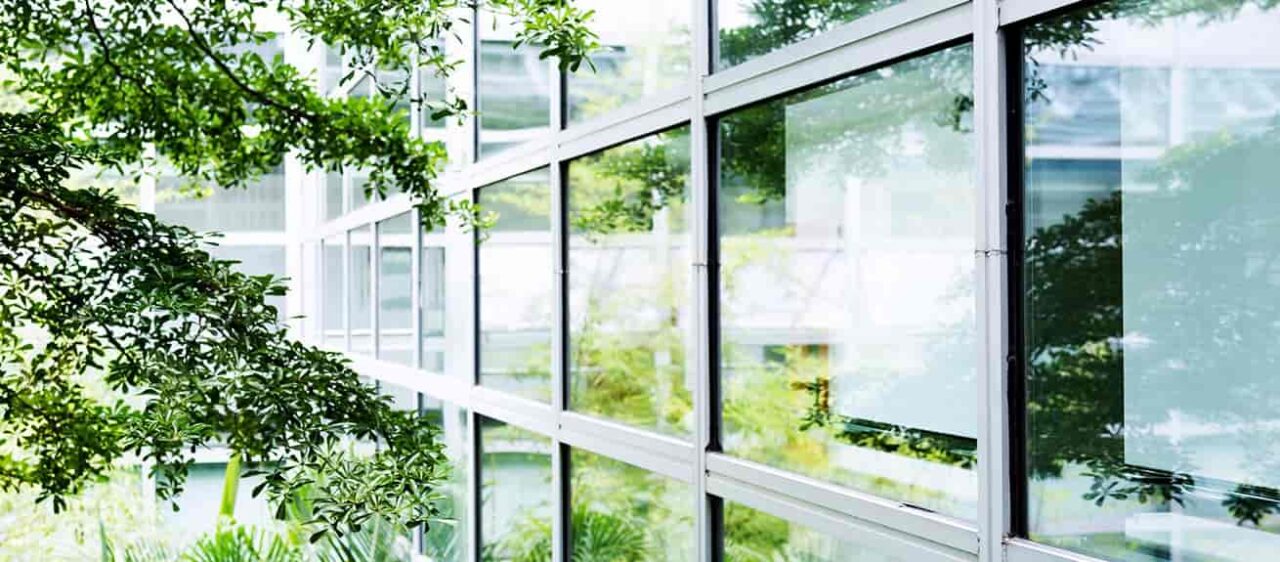 Why all businesses should embrace sustainability & how they can do it