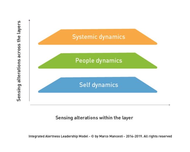 The Disruption-Fit Leader - IMD business school for management and ...