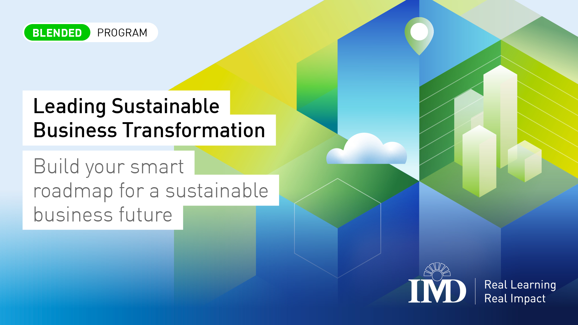 Leading Sustainable Business Transformation - Sustainability Program