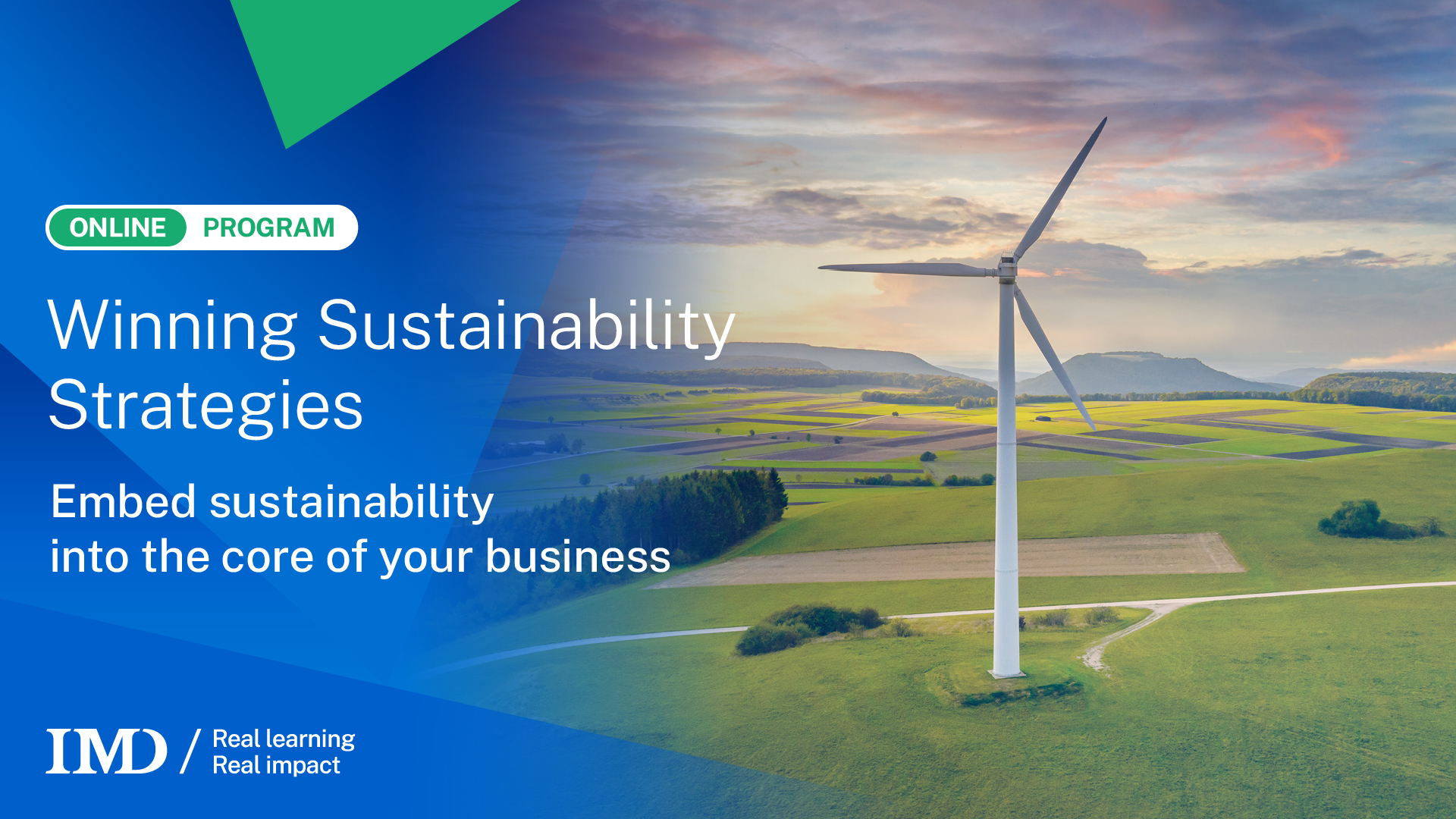 Winning Sustainability Strategies - What you will learn