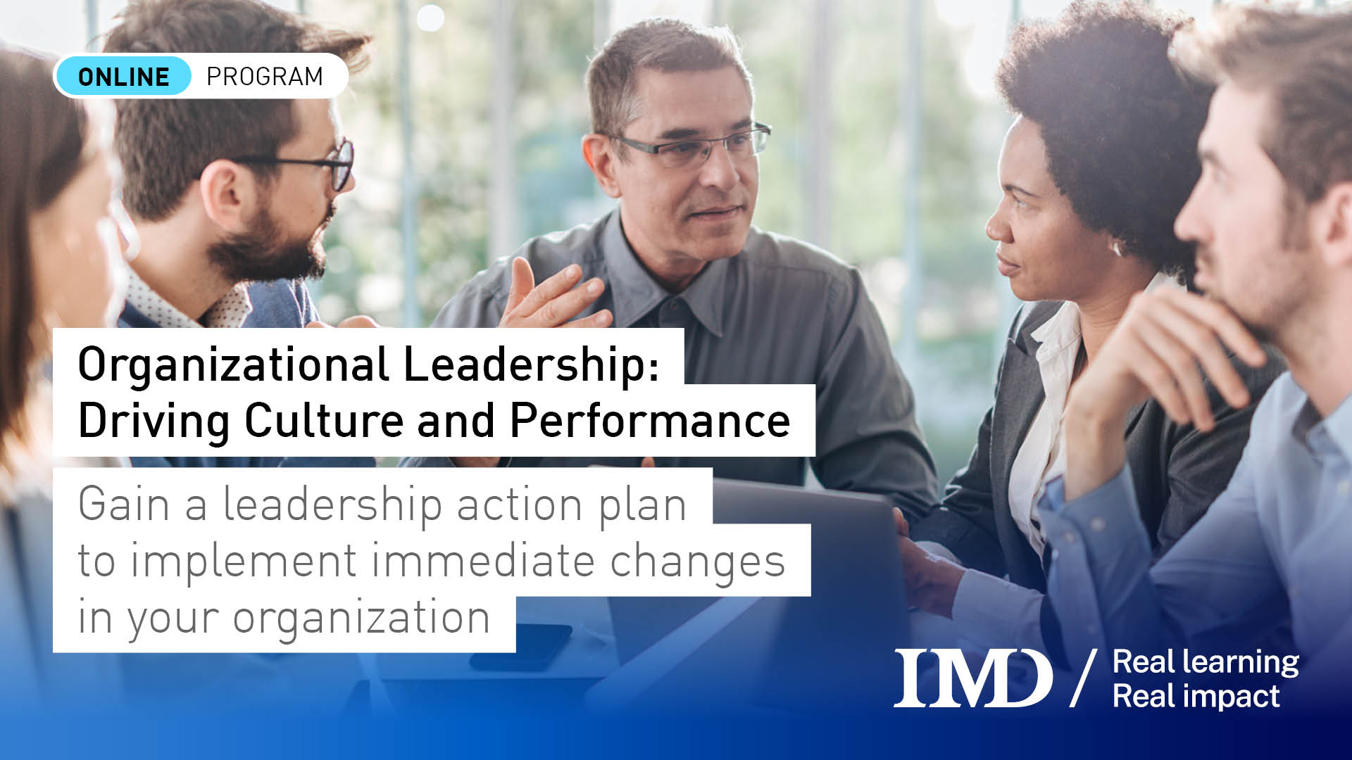 Organizational Leadership Program - Driving Culture and Performance
