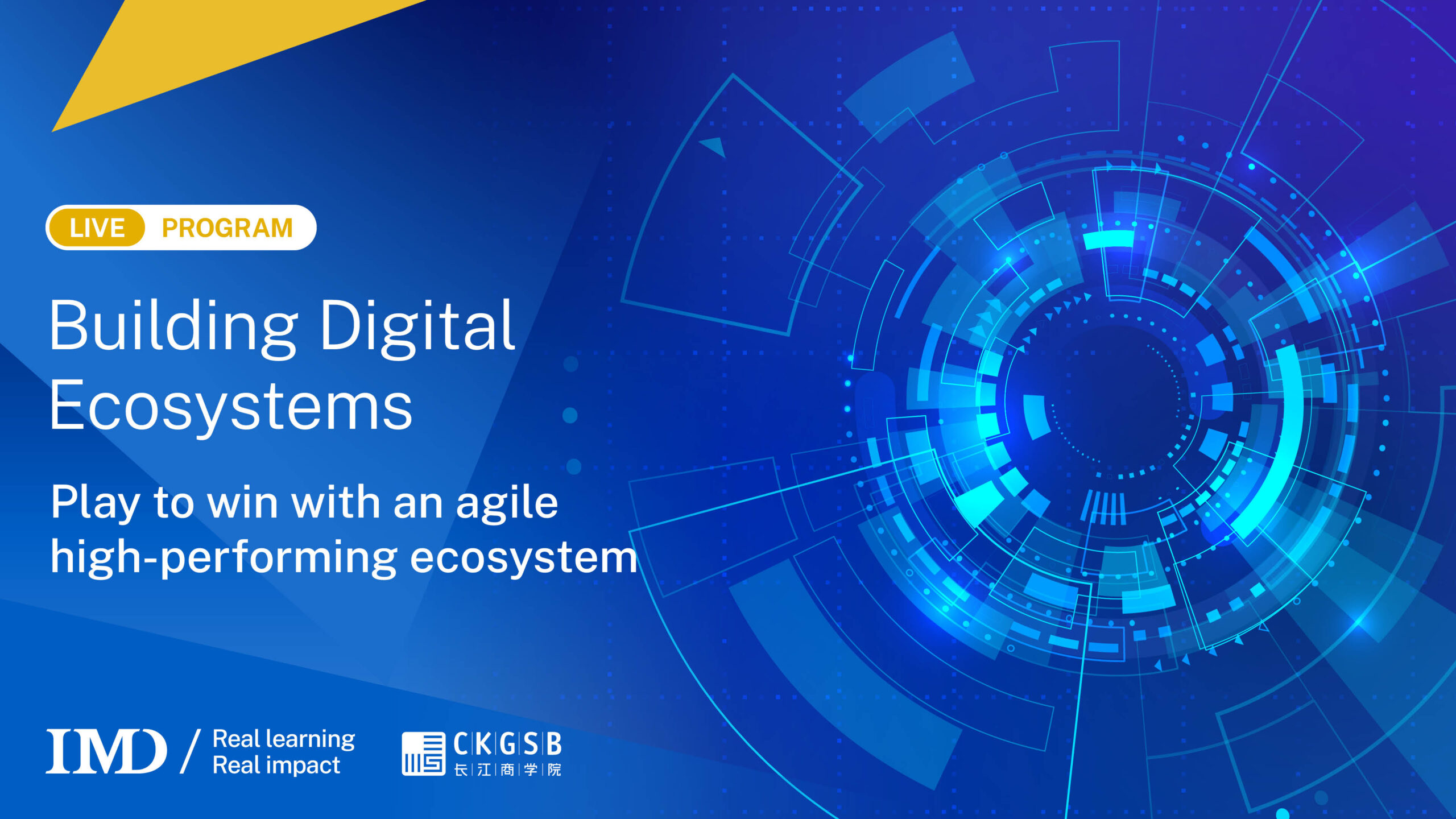 Building Digital Ecosystems - Build a high-performing ecosystem