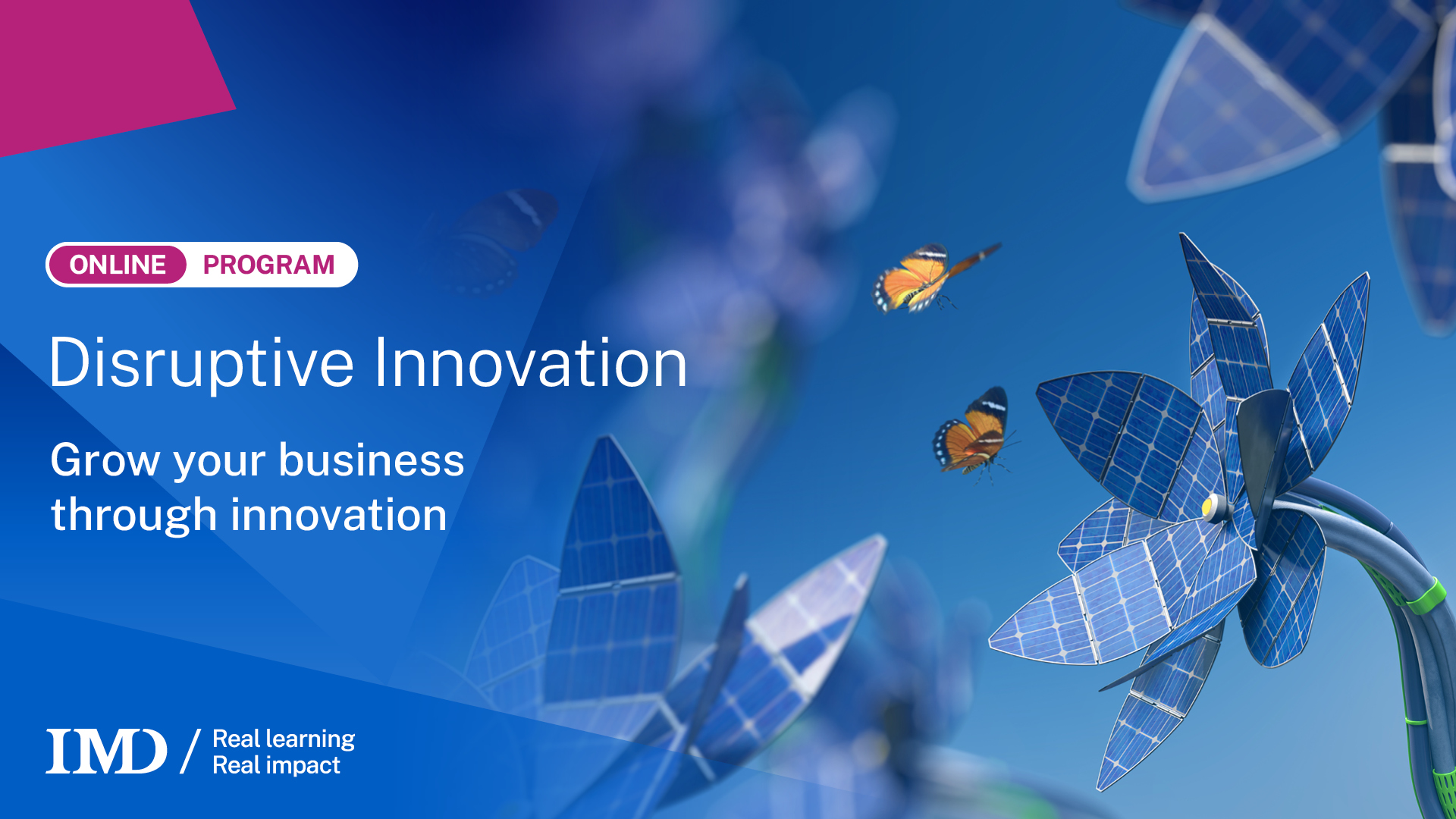 Disruptive Innovation Online Course - Drive business growth through ...