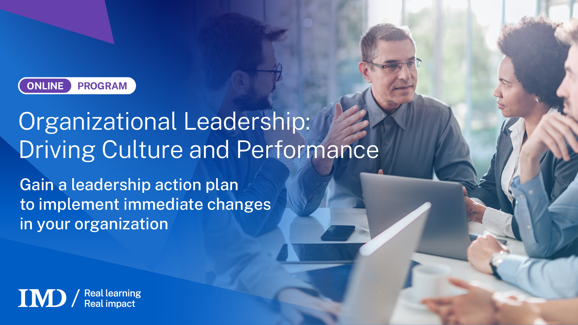 Organizational Leadership Program - Driving Culture and Performance