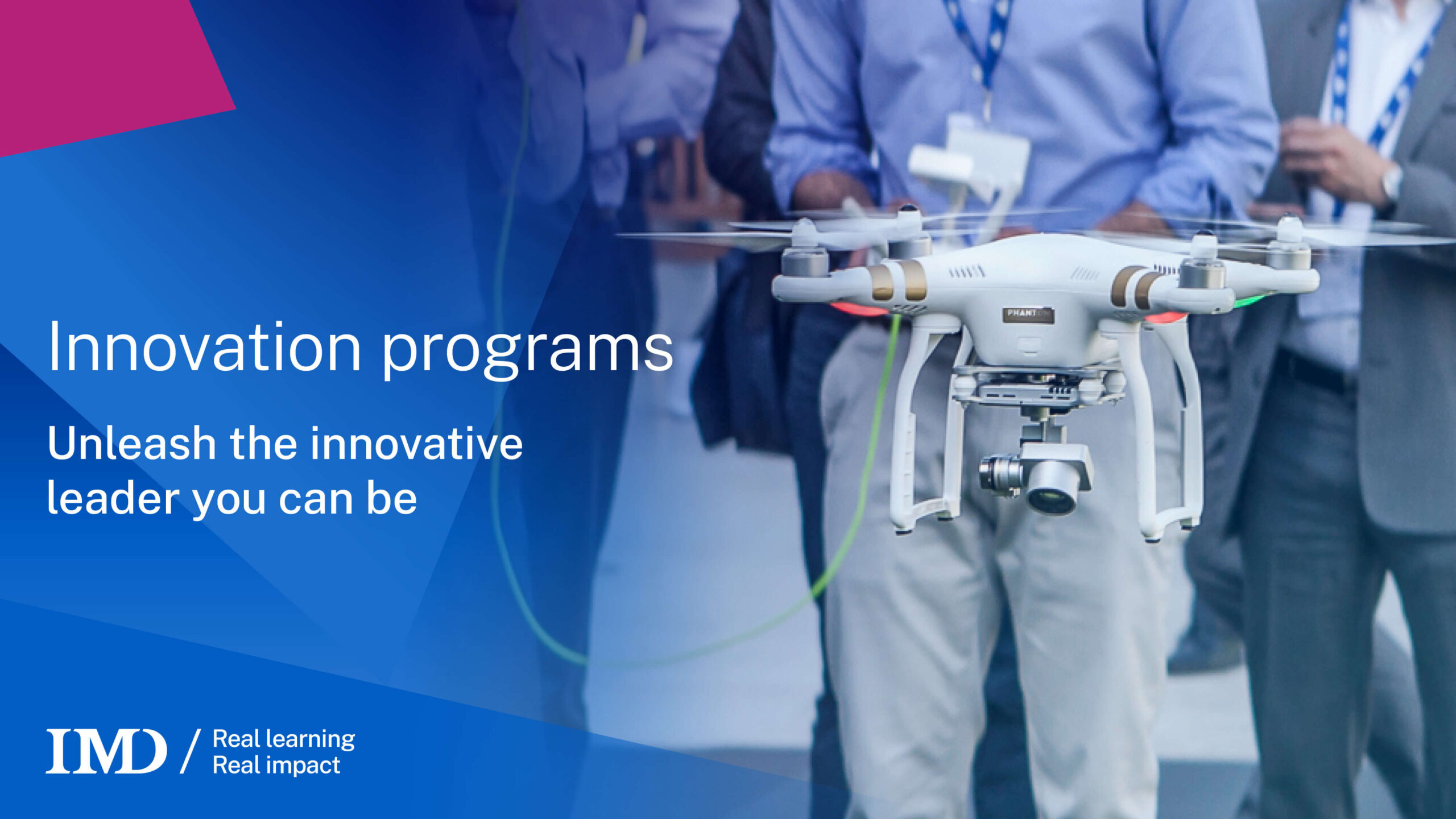 Innovation Programs - Exec Education - IMD Business School