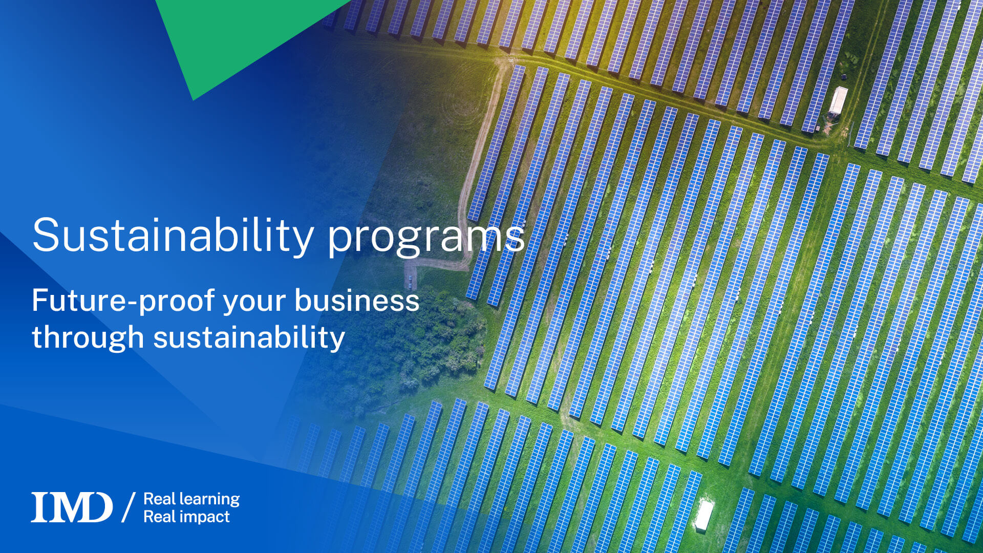 Sustainability Programs - IMD Business School