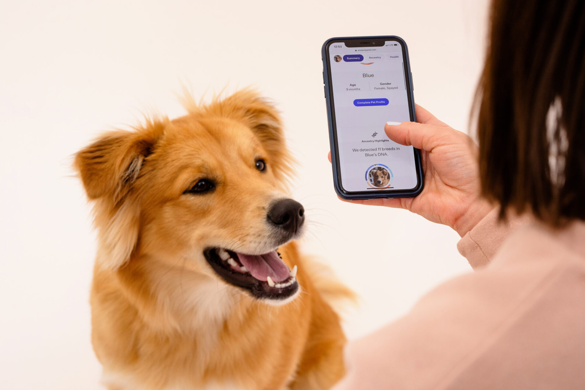 Taking the lead: Mars Petcare and a purpose-led transformation - I by IMD