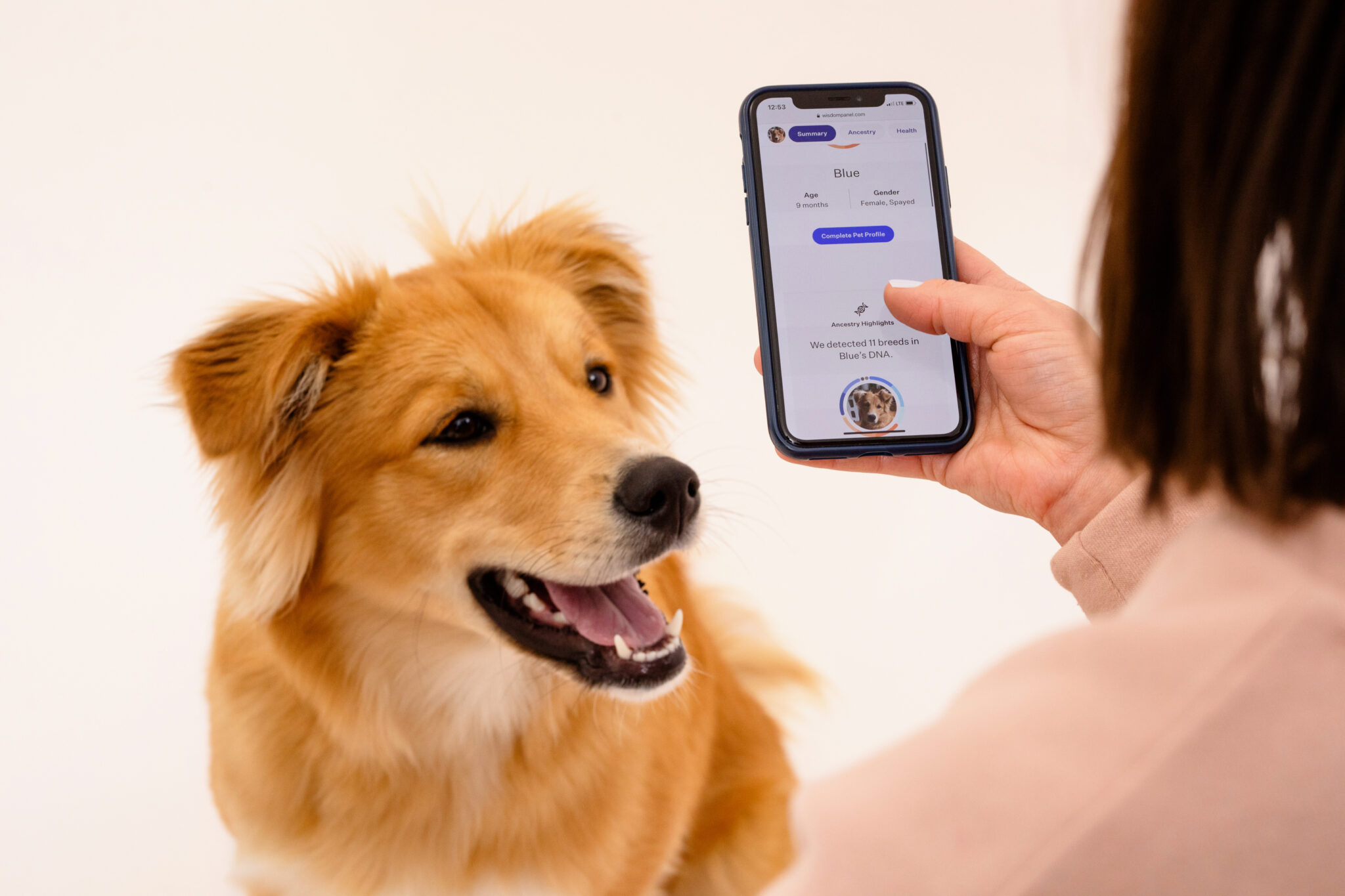 Taking the lead: Mars Petcare and a purpose-led transformation - I by IMD