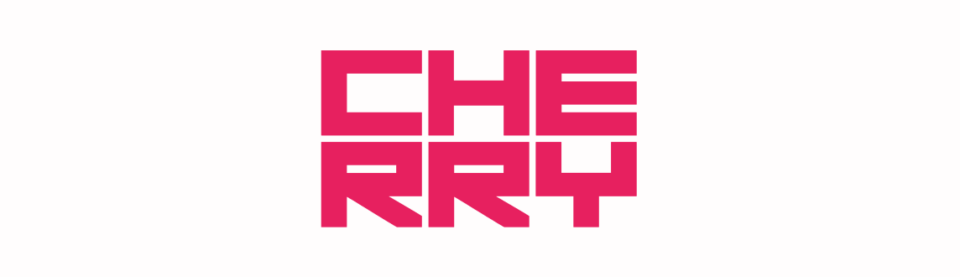 ‘Invest in the team — not the idea’: Founding partner of Cherry Ventures explains his investment ...