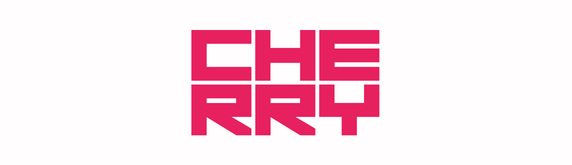 ‘Invest in the team — not the idea’: Founding partner of Cherry Ventures explains his investment ...