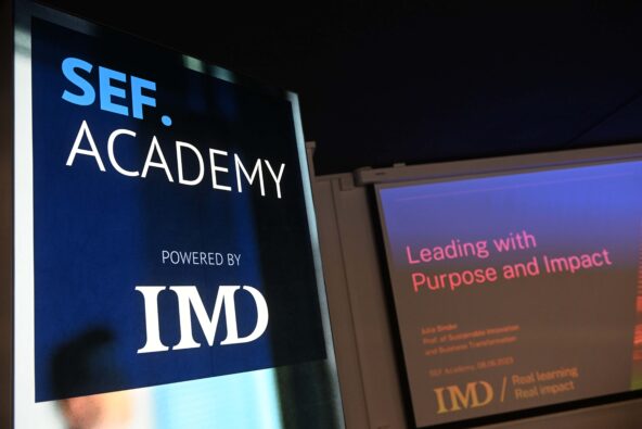 Crafting your purpose: SEF Academy explores new ways to lead - IMD business school for ...