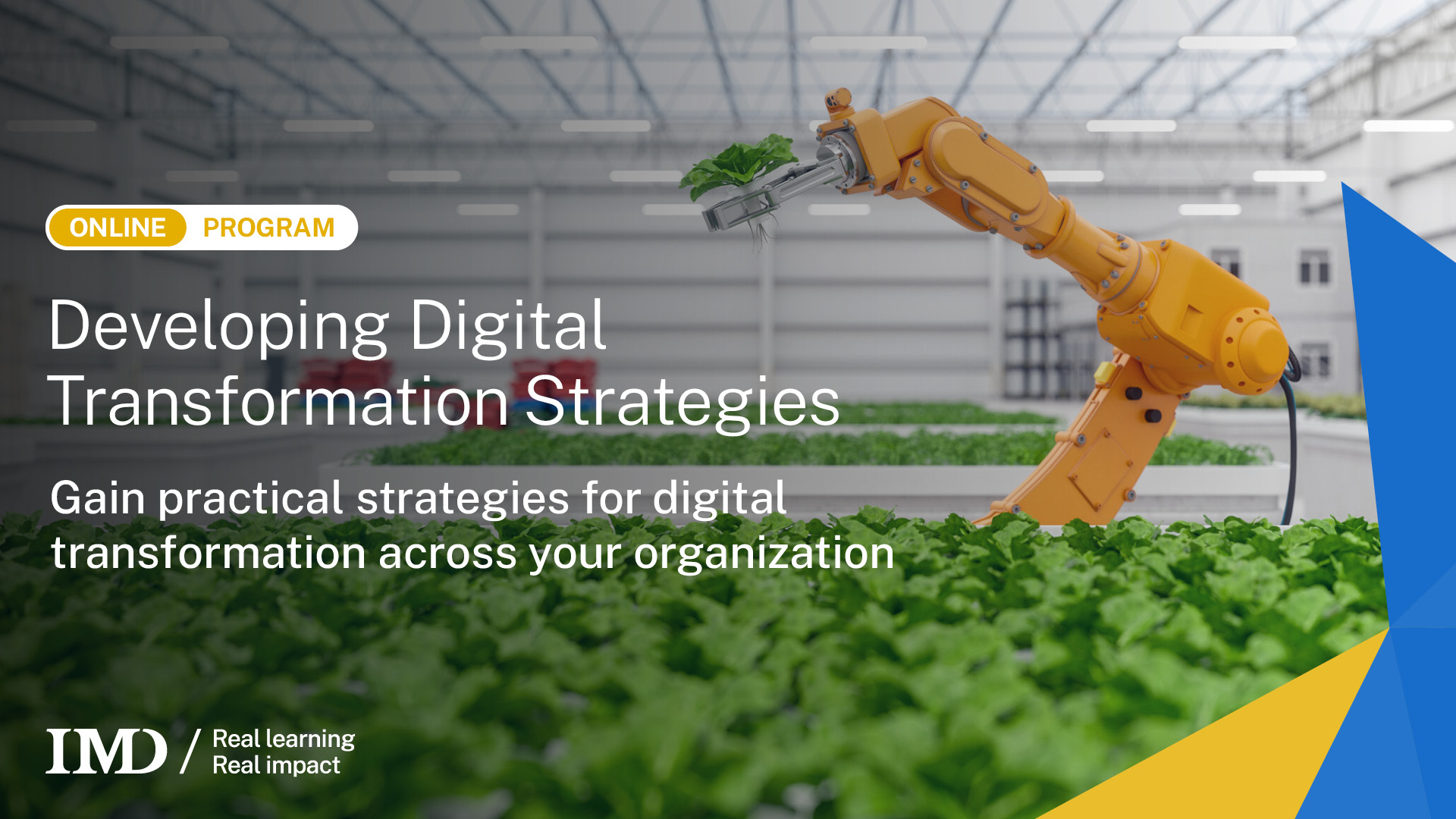 Developing Digital Transformation Strategies Online Program
