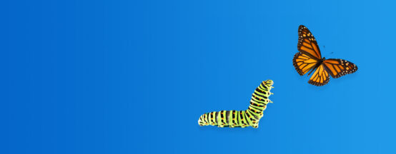 Dual Transformation - IMD business school for management and leadership ...