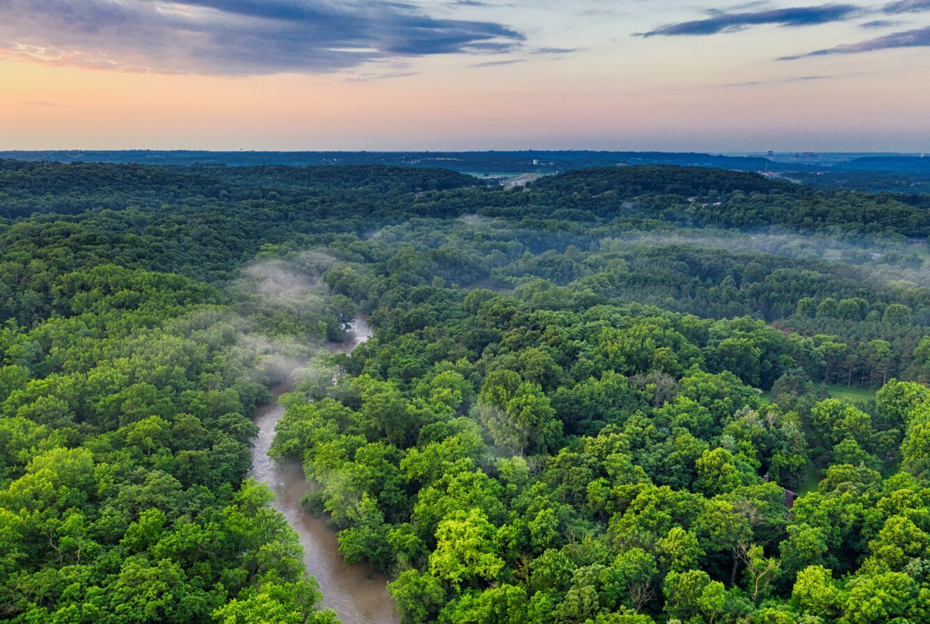 How blockchain can clean up the voluntary carbon market - I by IMD