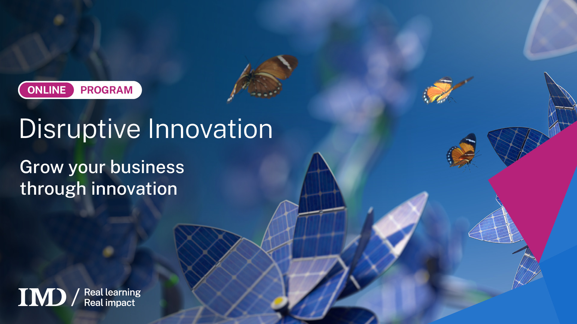 Disruptive Innovation Online Course - Drive business growth through ...