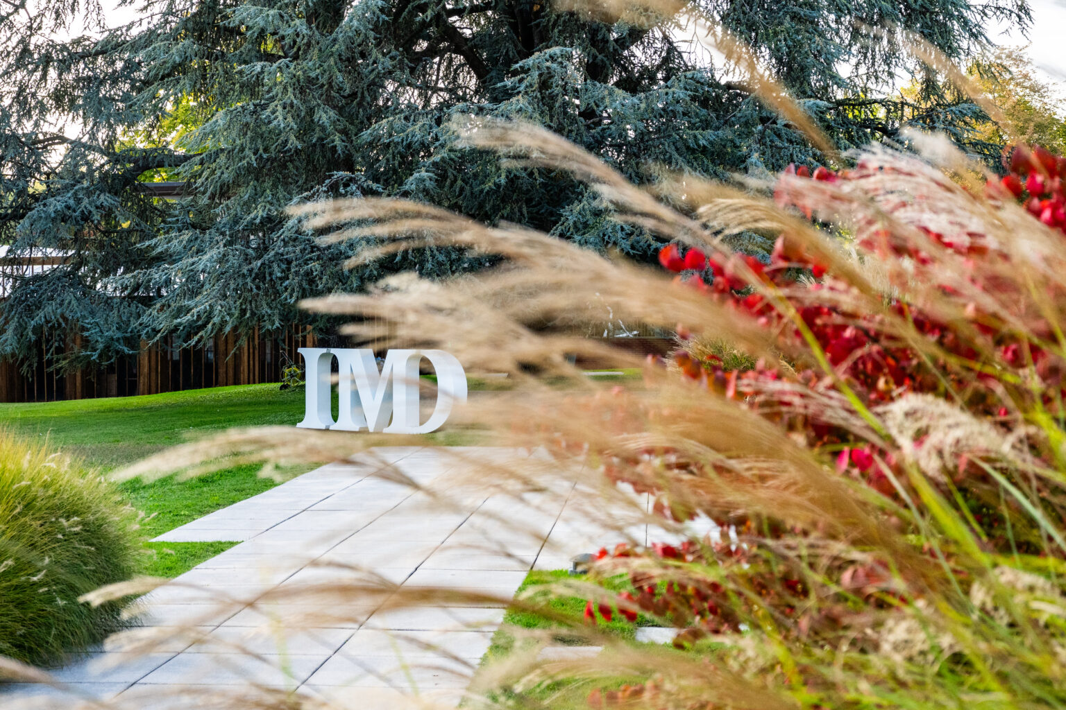 IMD Faculty members – IMD business school