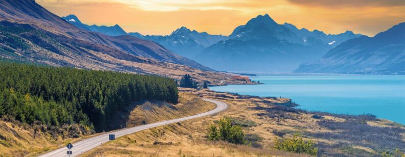 STI New Zealand 2024 - IMD business school for management and leadership courses