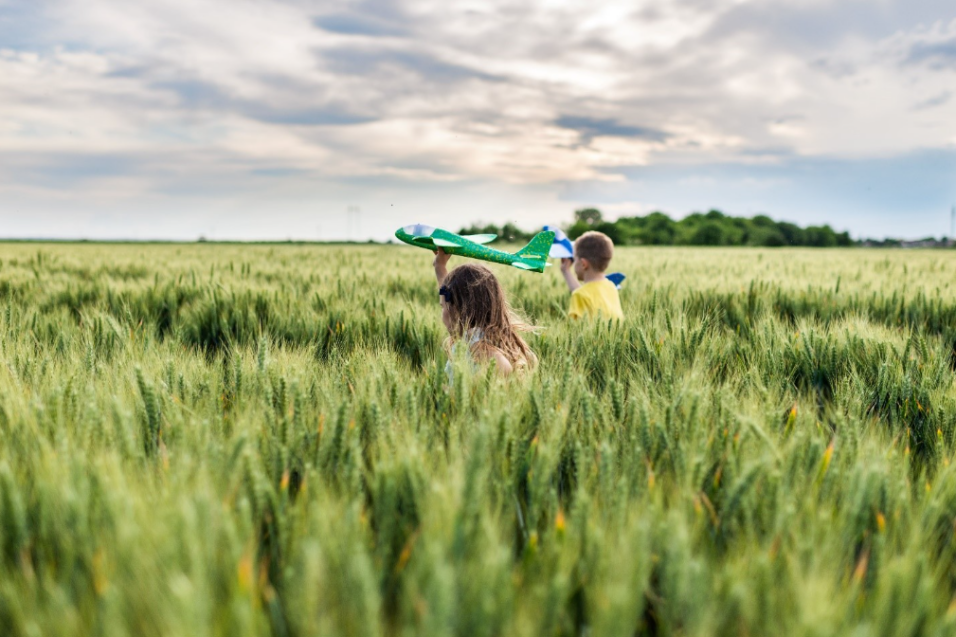 Build a Sustainable Future With These Eco Design Basics