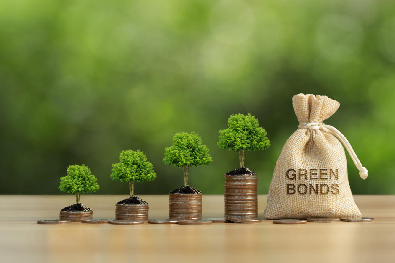 Time to go green? What bonds are best for you? - I by IMD