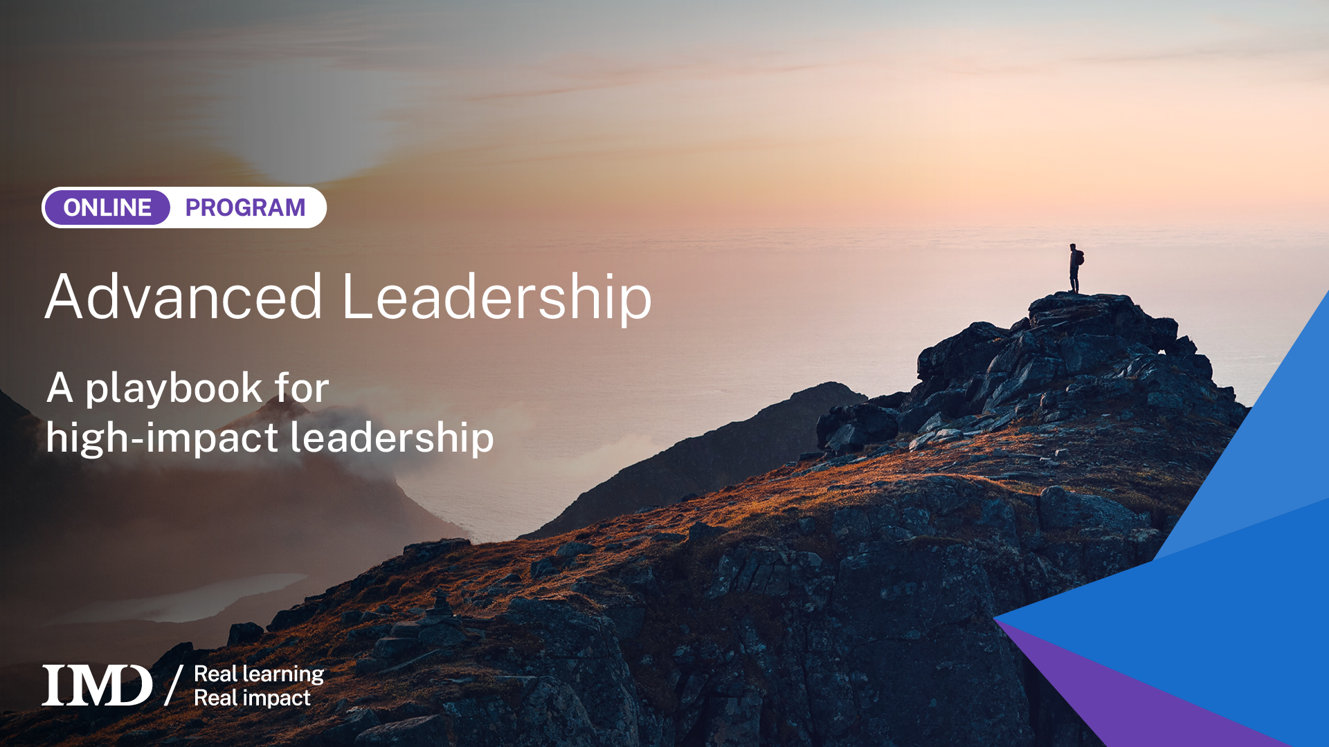 IMD Advanced Leadership online program