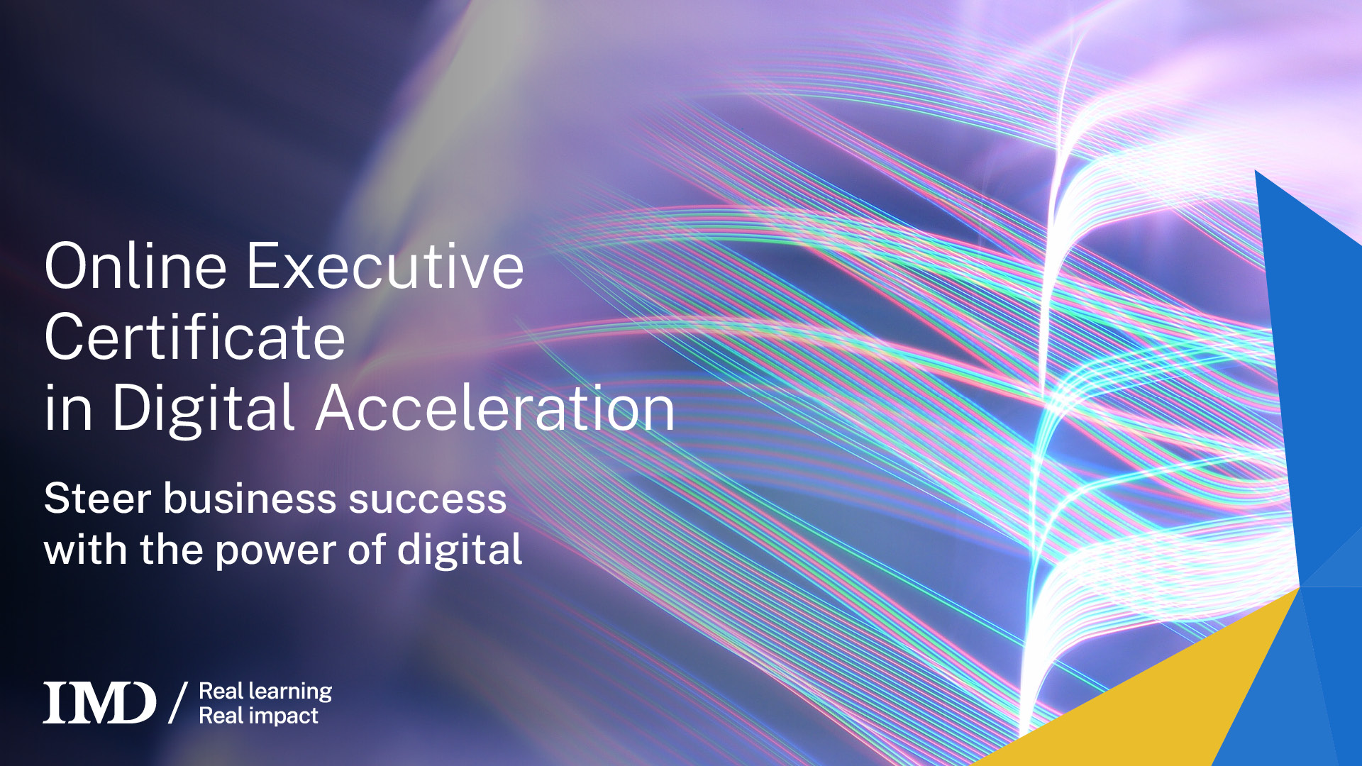 IMD Online Executive Certificate in Digital Acceleration