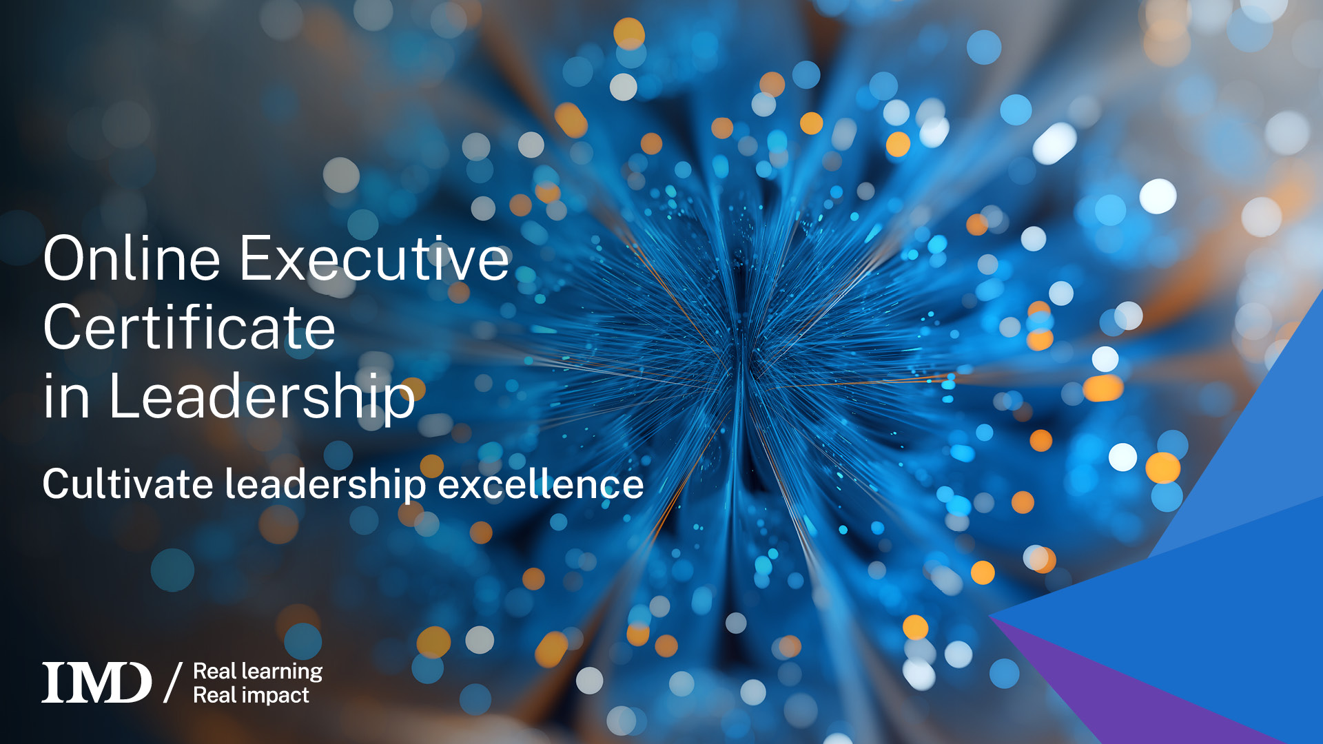 IMD Online Executive Certificate in Leadership