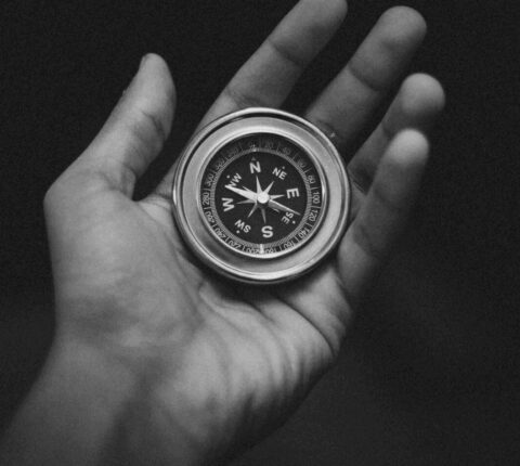 The 8 essential design principles for a matrix organization - I by IMD