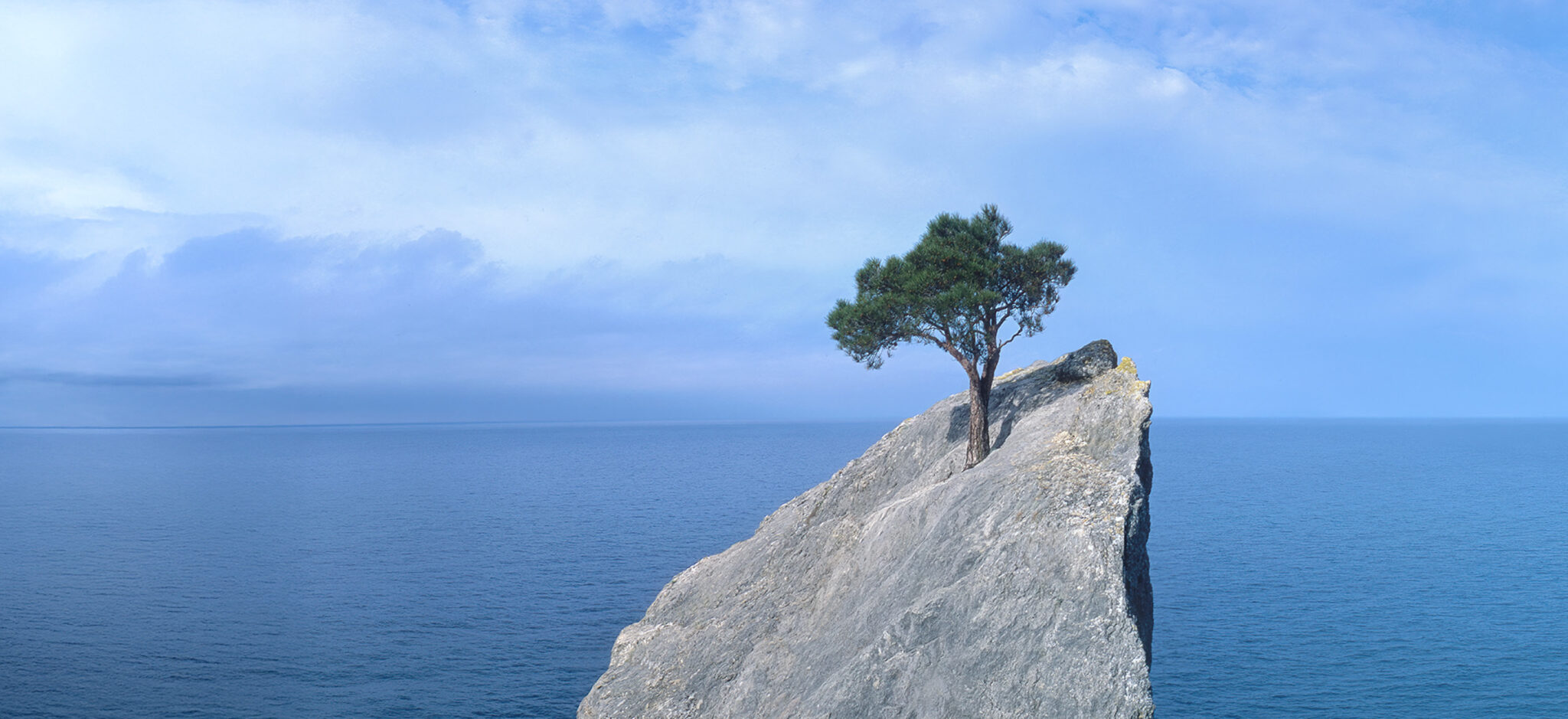 Resilient Leadership Sprint | Stress Management Course